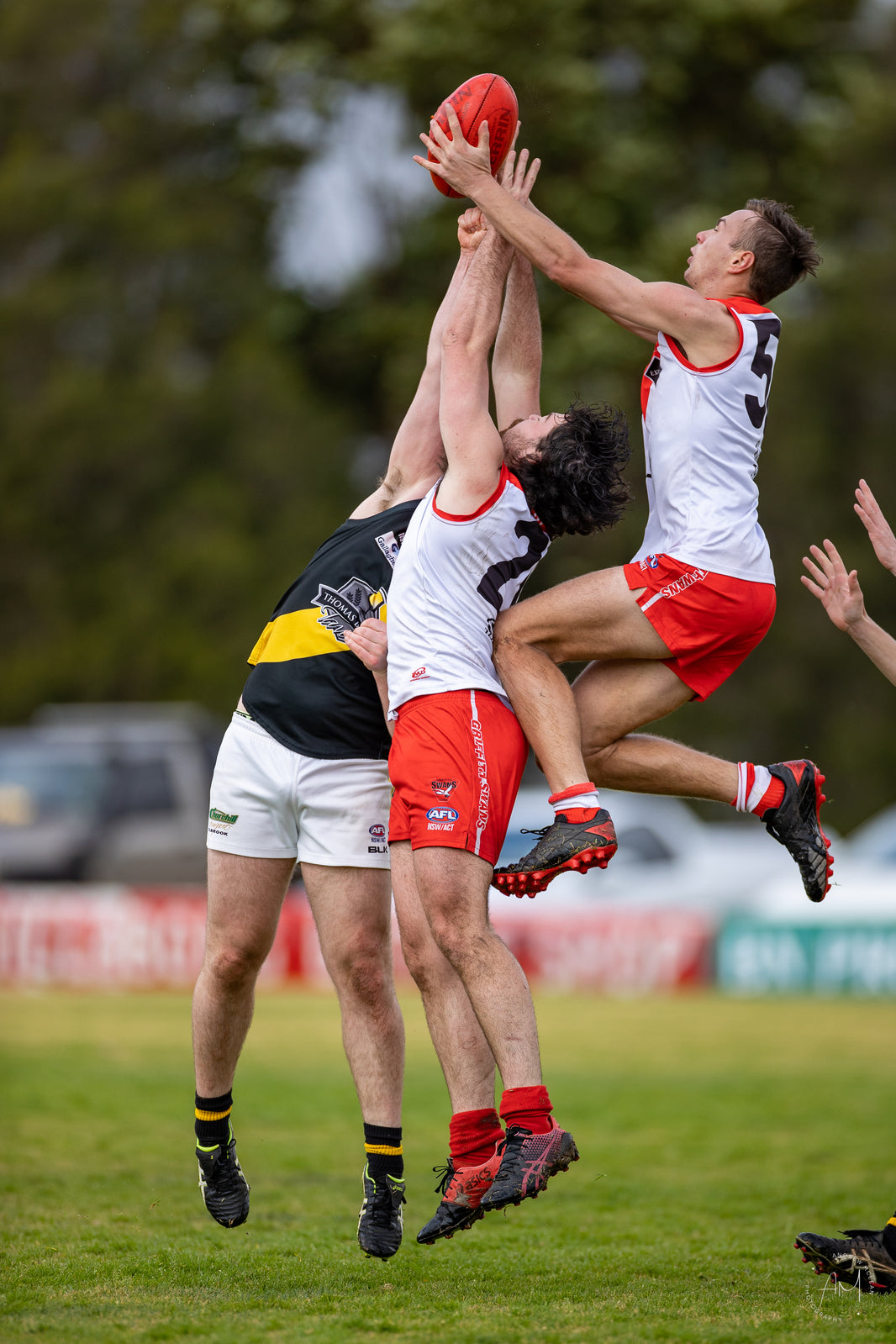 Griffith Swans Football Netball Club – Griffith Australian Football ...